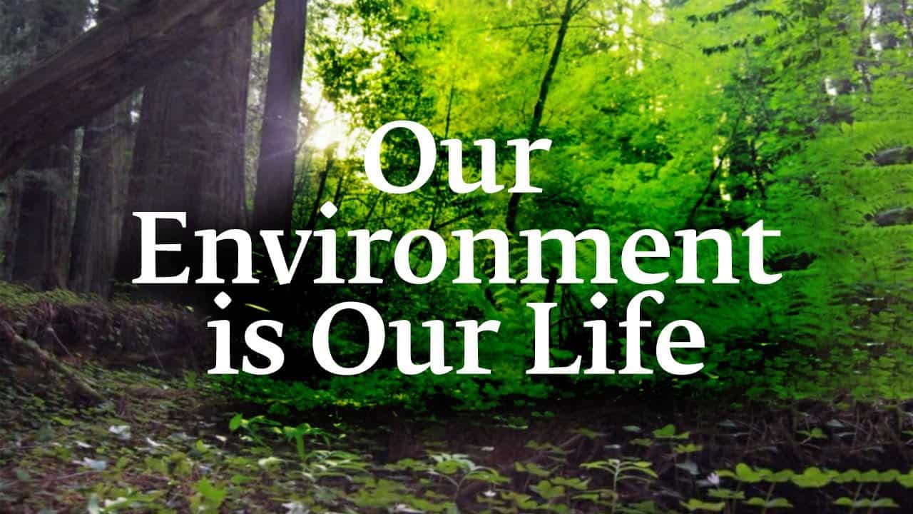Overview of Canadian Environmental Protection Act